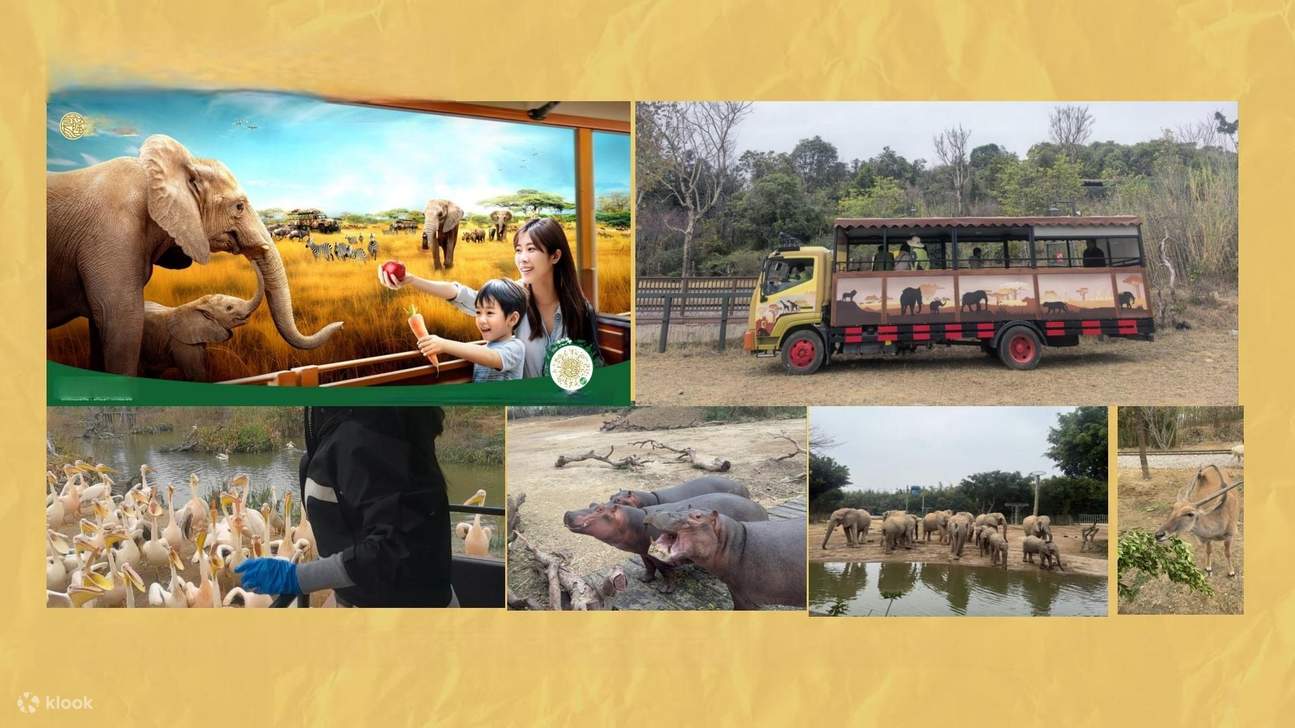 2-Day Qingyuan Tour from Shenzhen/Guangzhou: Qingyuan Chimelong Resort ...
